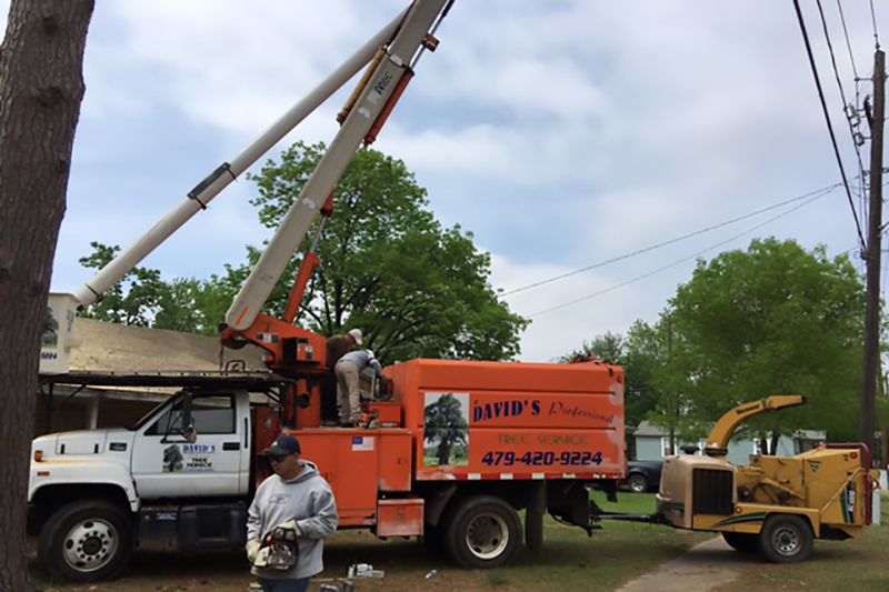 Our Work - David's Tree Service | Fort Smith, AR