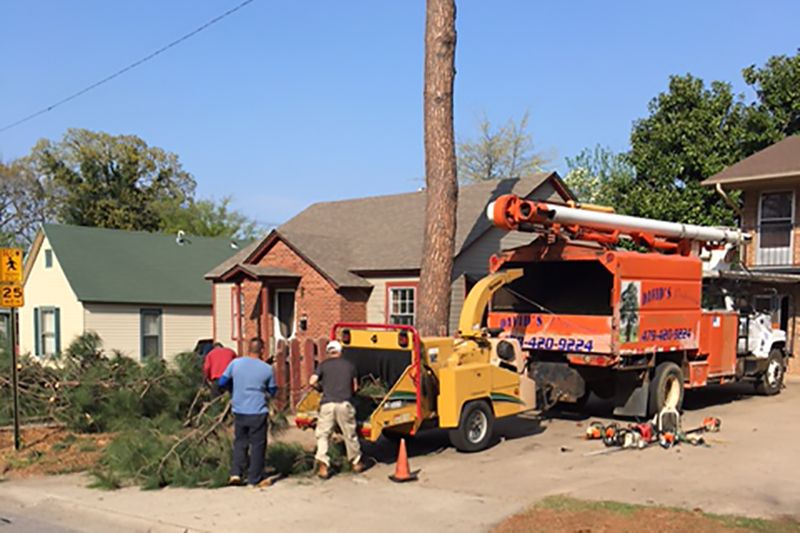 Our Work - David's Tree Service | Fort Smith, AR